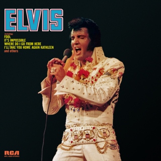 Elvis “The Fool” – Musical Revue